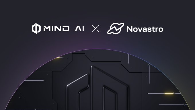Novastro Chain's Insight