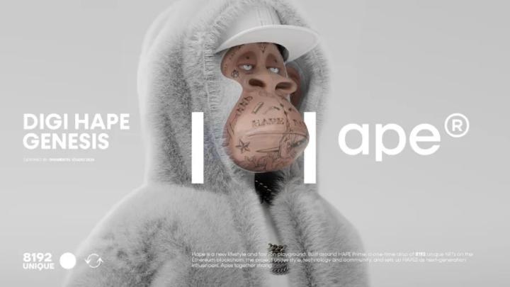 Exclusive interview with Matt, founder of Hape®: My BAYC journey has ...